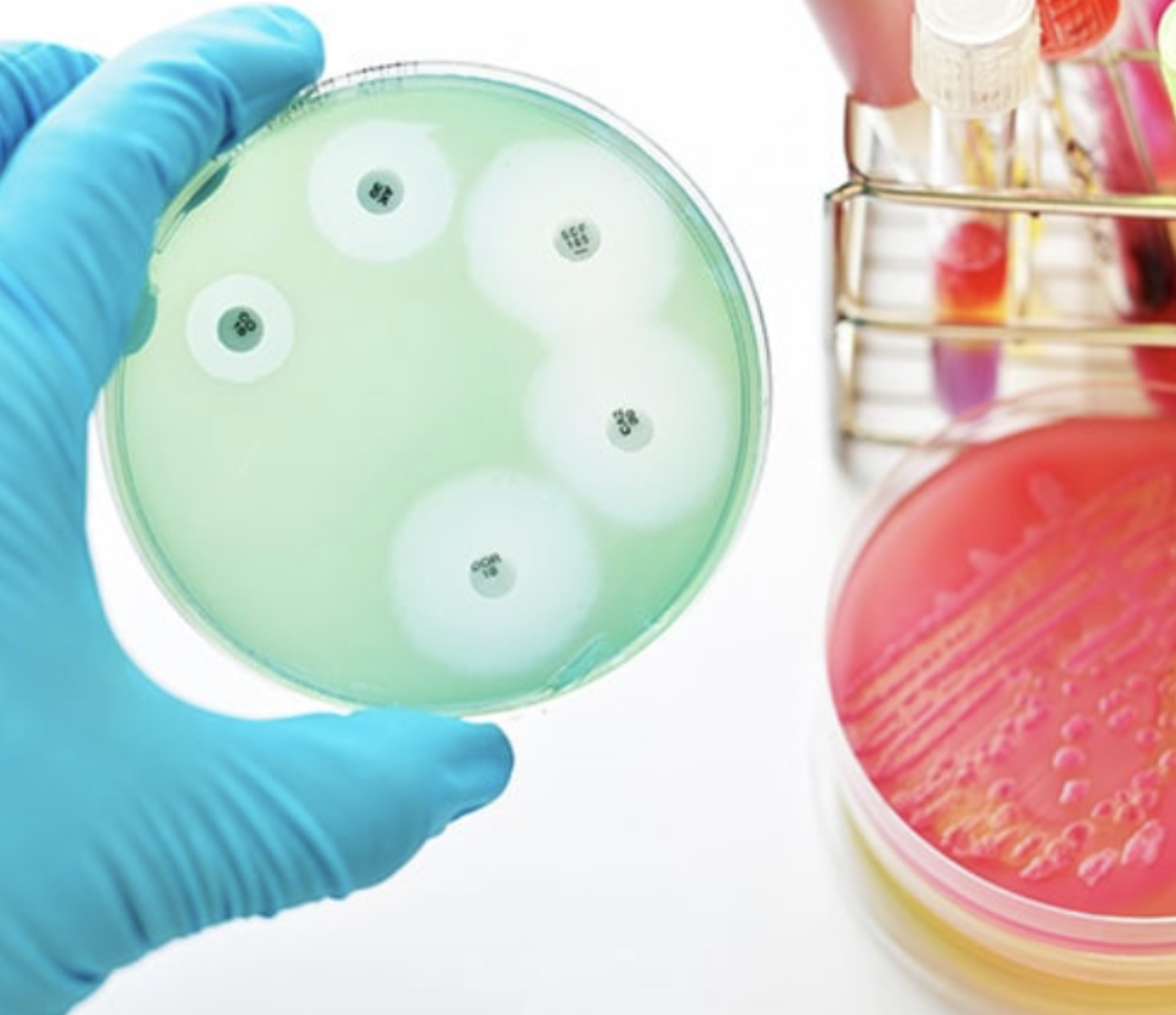 New Dheli, il super-batterio che spaventa l’Italia - Farmacommunity